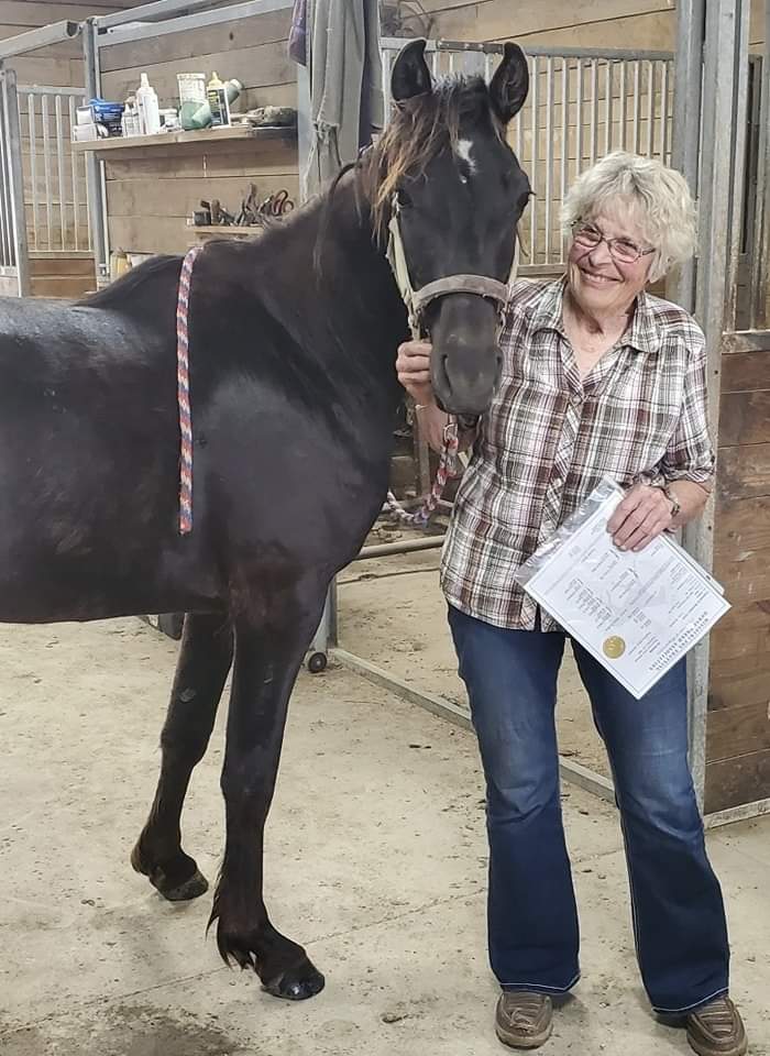 Our Story – Stomp Stoppers