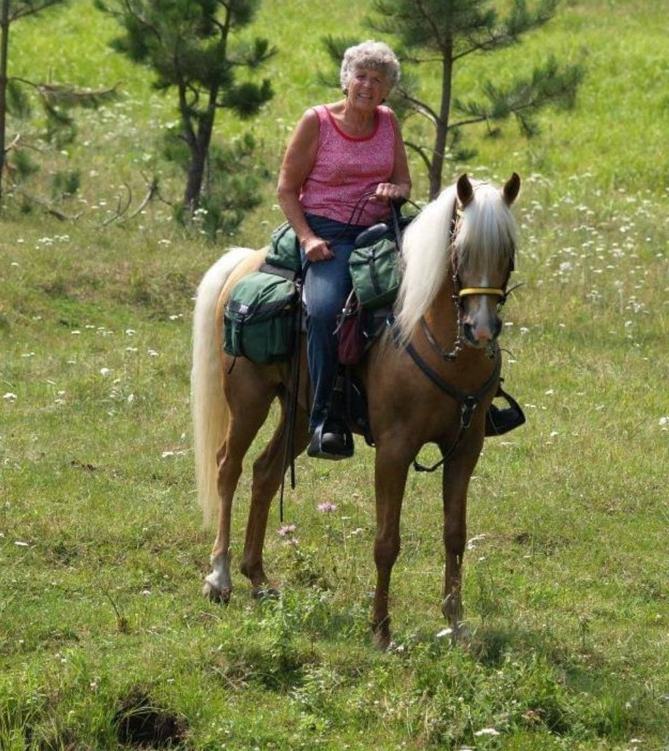 Our Story – Stomp Stoppers