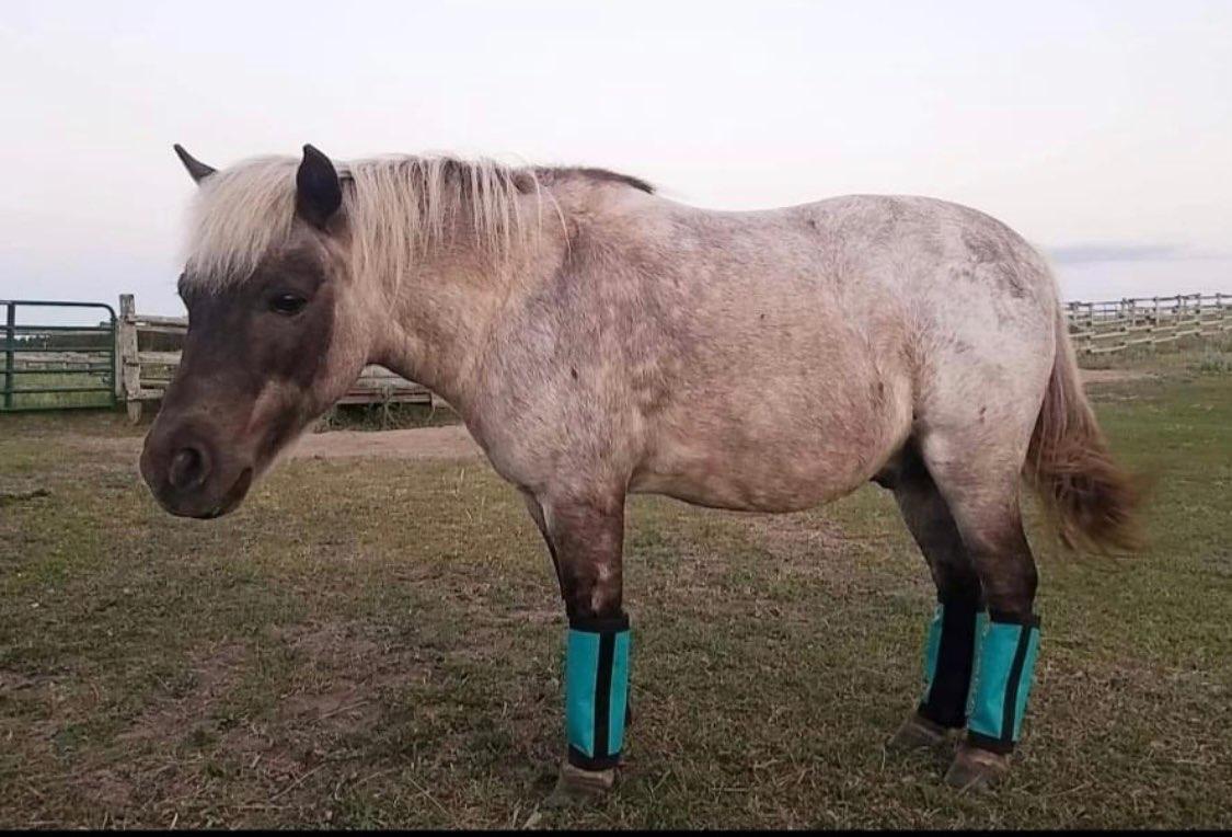 Sizing and Customization – Stomp Stoppers